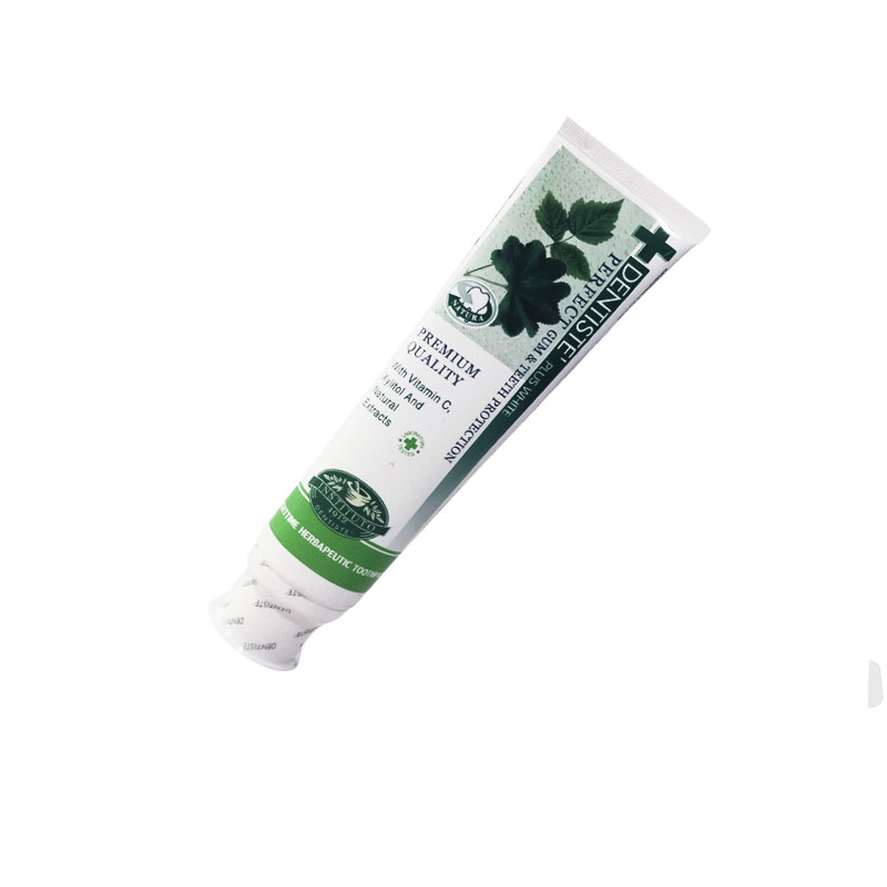 Dentiste Night Time Toothpaste 160g